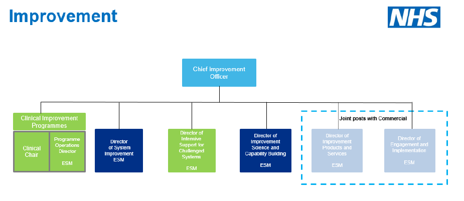 Full details: New NHS England and Improvement structure | News | Health ...