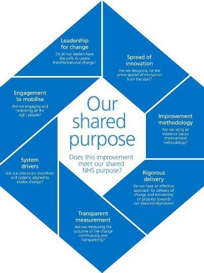 Developing the expert capacity to transform the NHS | HSJ Knowledge ...